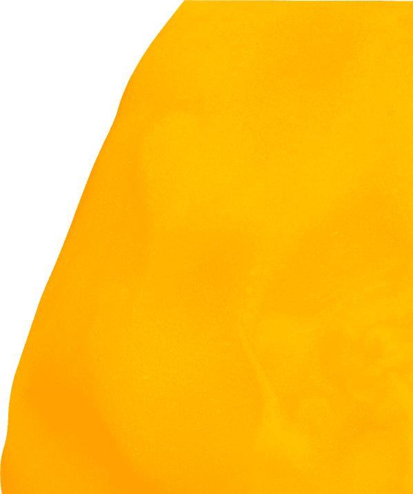 VERISOL® Collagen: Benefits and Uses – HealthyCell