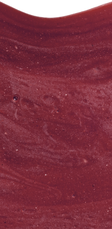 Bioactive Multi - Gel Supplement & Multivitamin | Healthycell – HealthyCell