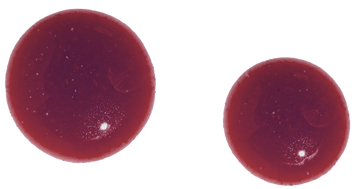 Bioactive Multi - Gel Supplement & Multivitamin | Healthycell – HealthyCell