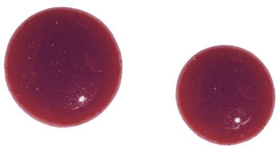 Bioactive Multi - Gel Supplement & Multivitamin | Healthycell – HealthyCell