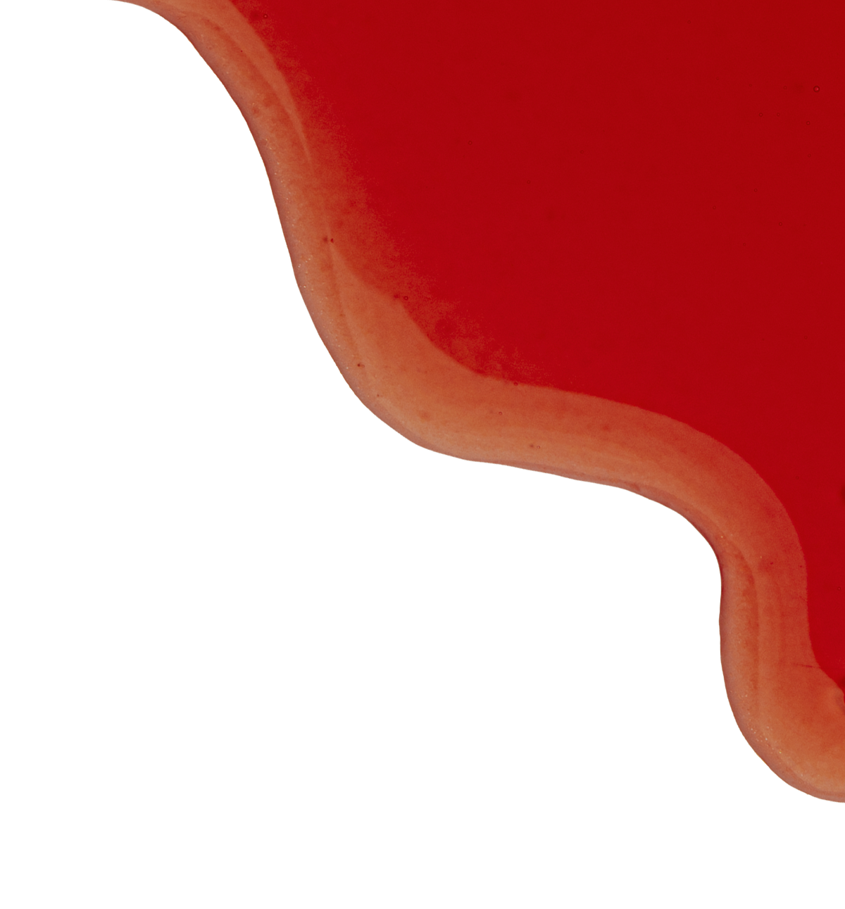 Bioactive Multi - Gel Supplement & Multivitamin | Healthycell – HealthyCell