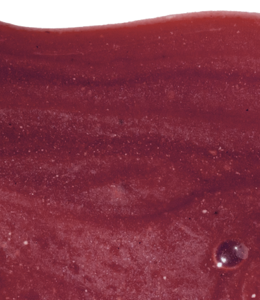 Bioactive Multi - Gel Supplement & Multivitamin | Healthycell – HealthyCell